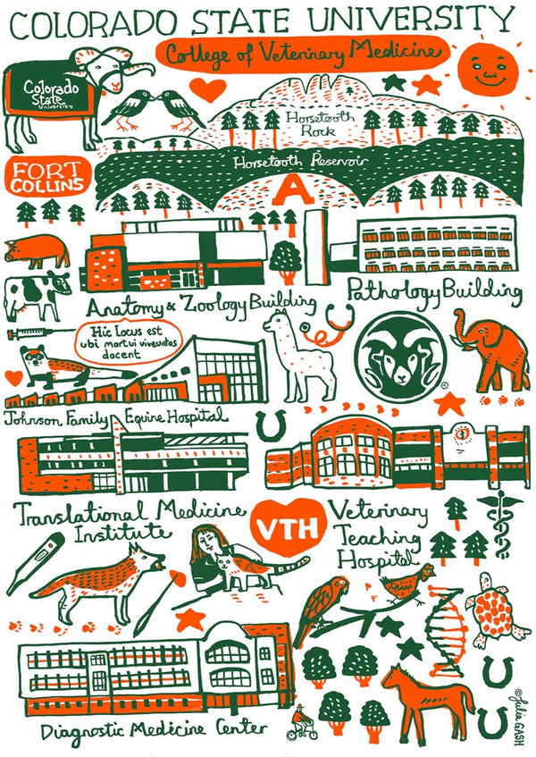 Colorado State Veterinary Medicine Design - Julia Gash